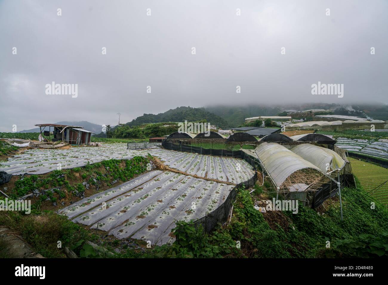 Factorys hi-res stock photography and images - Alamy