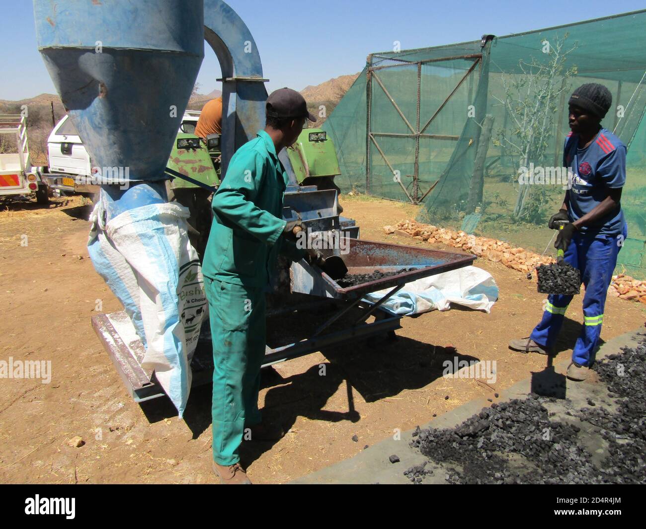 Windhoek, Namibia. 8th Oct, 2020. Farm workers use a grinder to process ...
