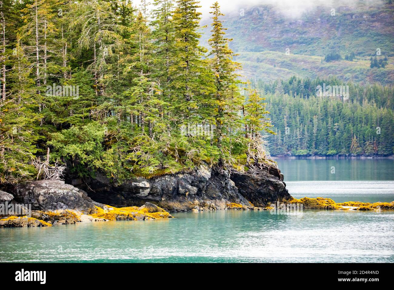 Scenic views of Gulf of Alaska coastline in fall from Whittier cruise ...
