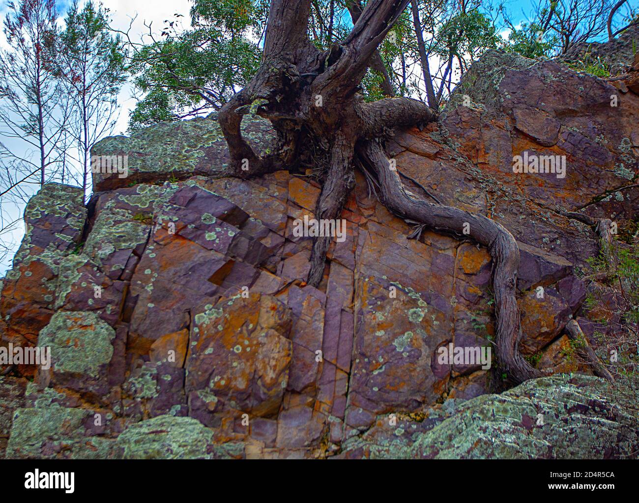 Mount Arthur, Wellington, NSW Australia Stock Photo - Alamy