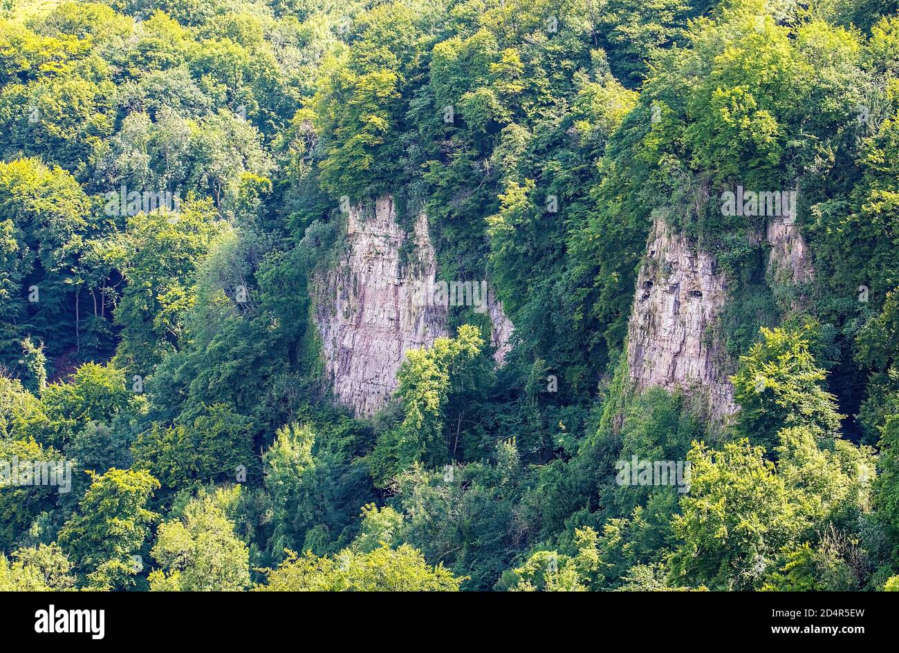 Symonds Yat rock nesting cliffs Stock Photo - Alamy