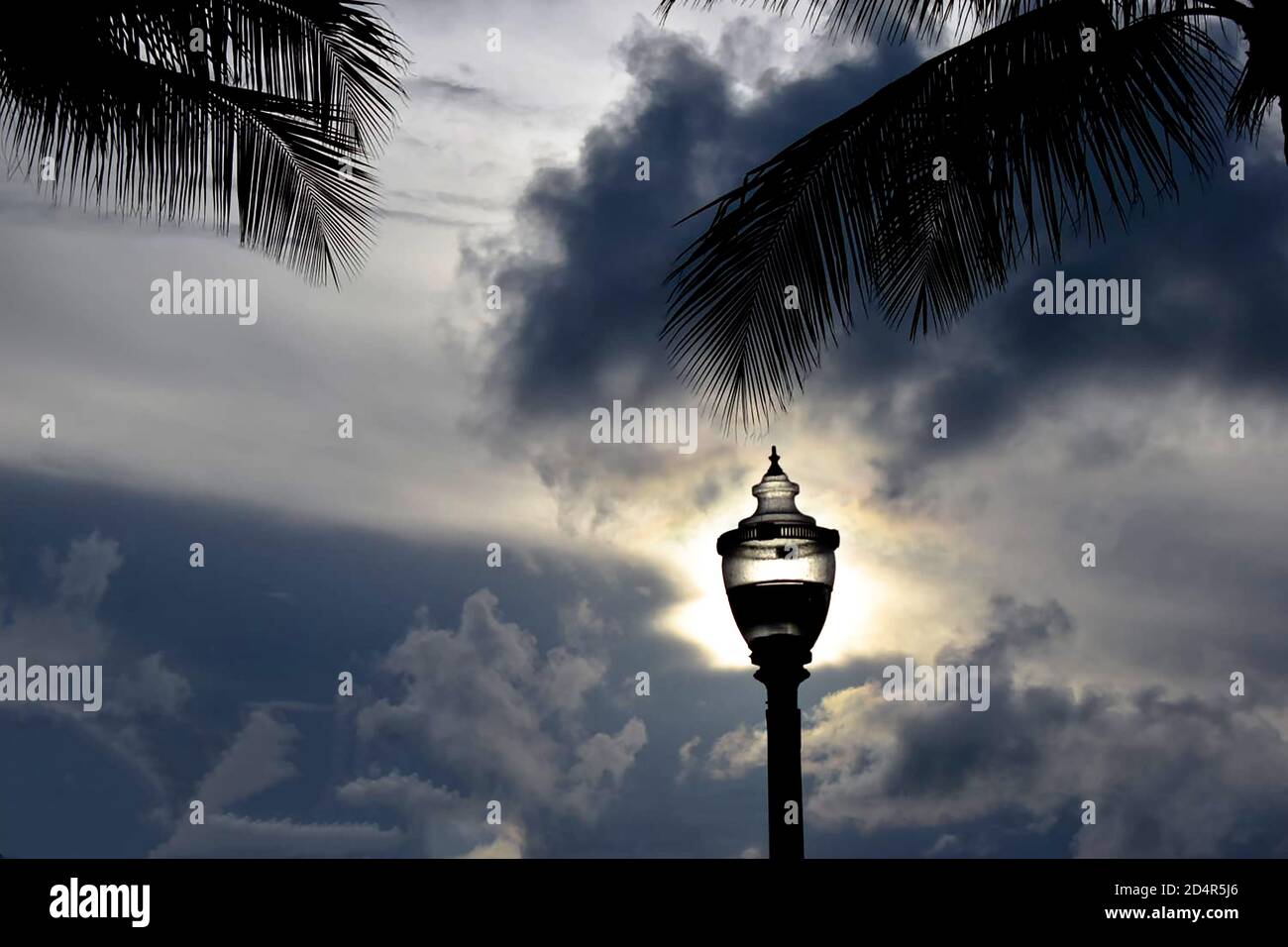 streetlight at miami beach Stock Photo - Alamy