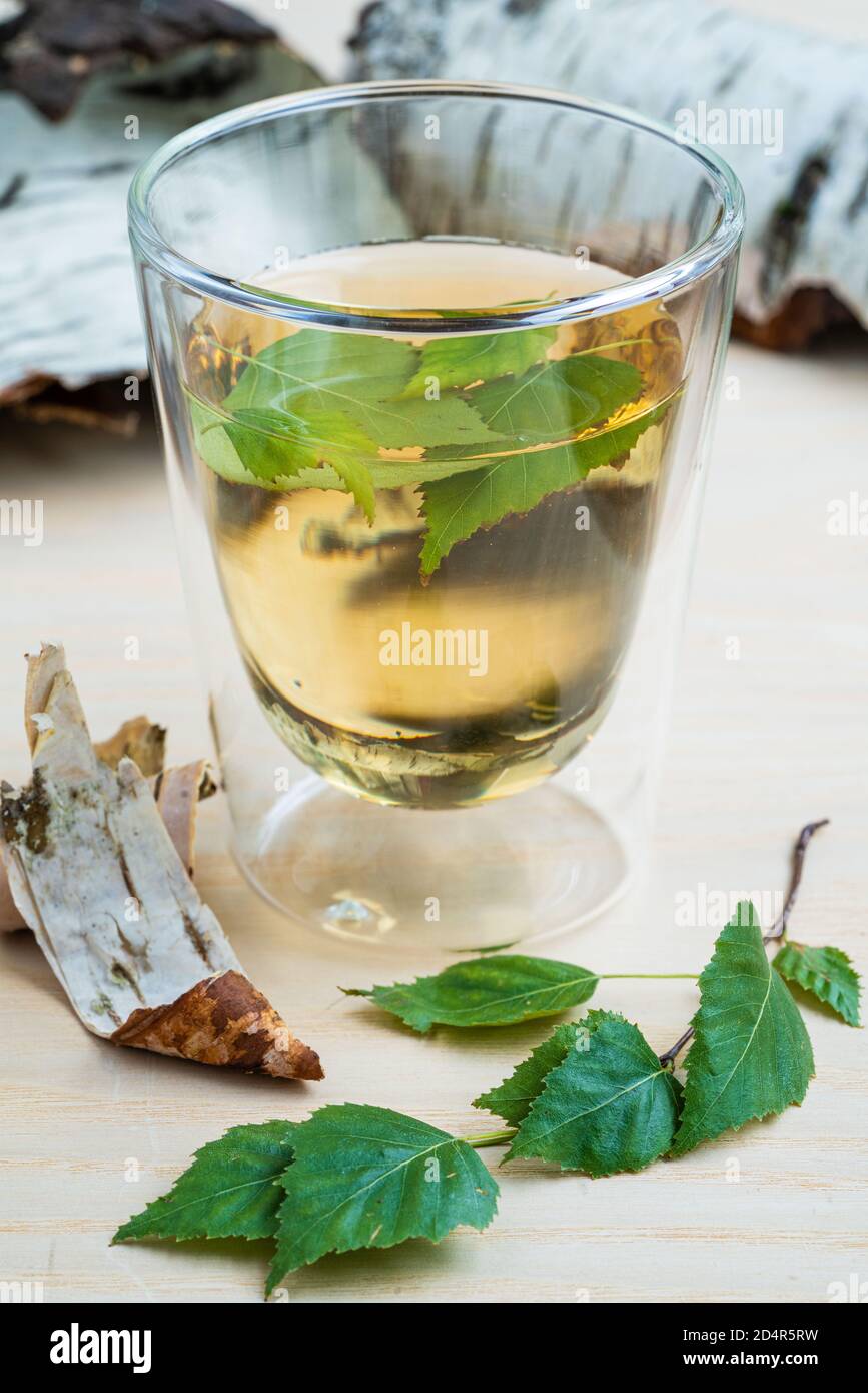 Birch tea hi-res stock photography and images - Alamy