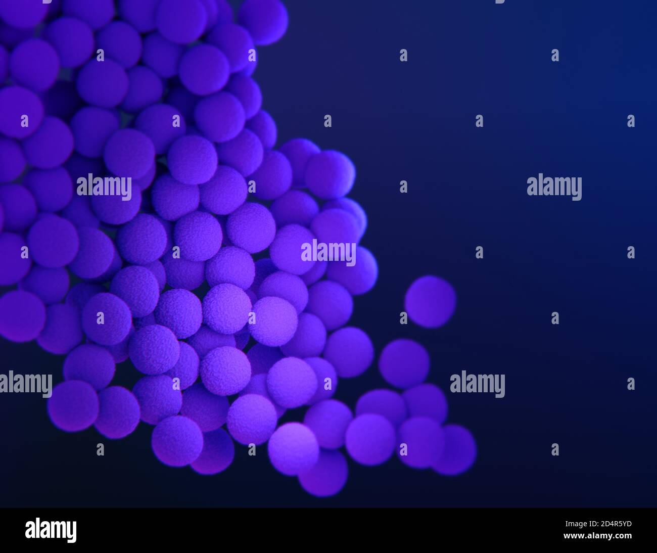 This is a medical illustration of methicillin-resistant, Staphylococcus ...