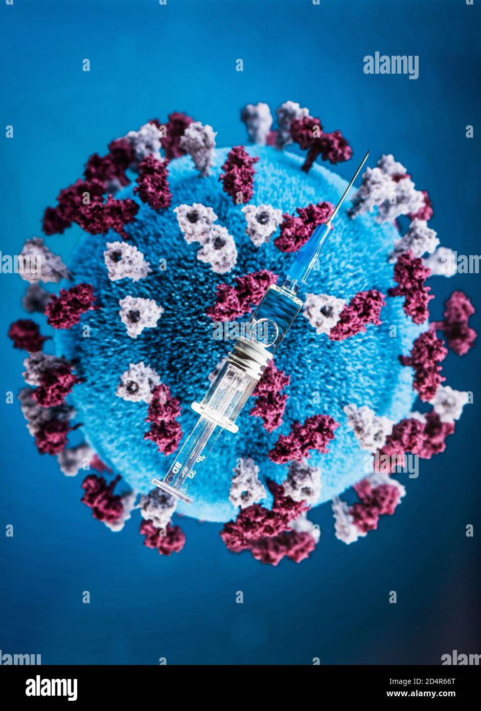 Measles Virus 3d Model