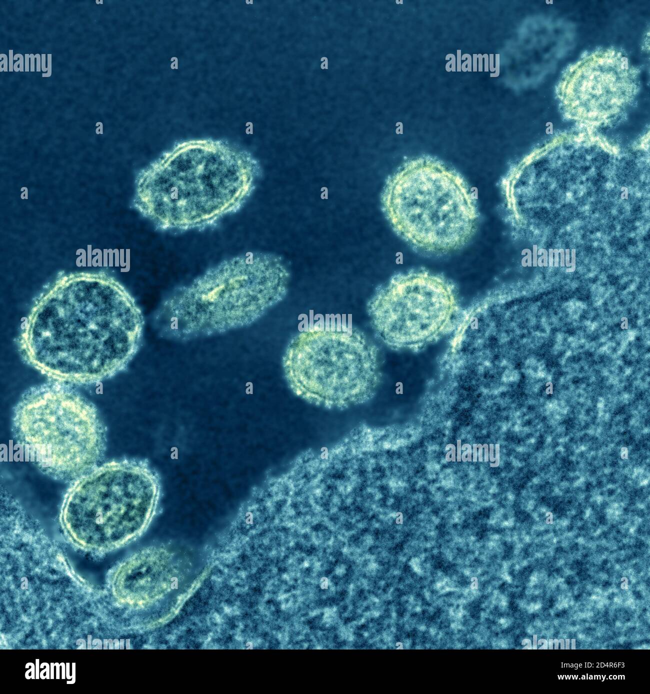5 16 1918 hi-res stock photography and images - Alamy