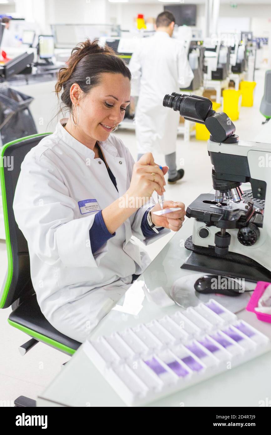 Laboratory technician examining a cervico-vaginal smear under a ...