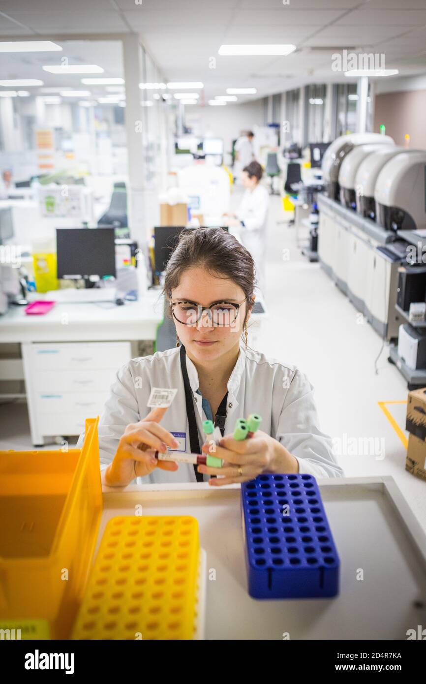 Laboratory technician collecting blood samples for analysis, Emergency ...