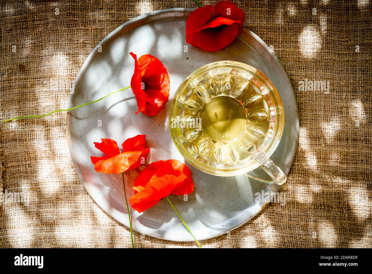 Poppy tea hi-res stock photography and images - Alamy