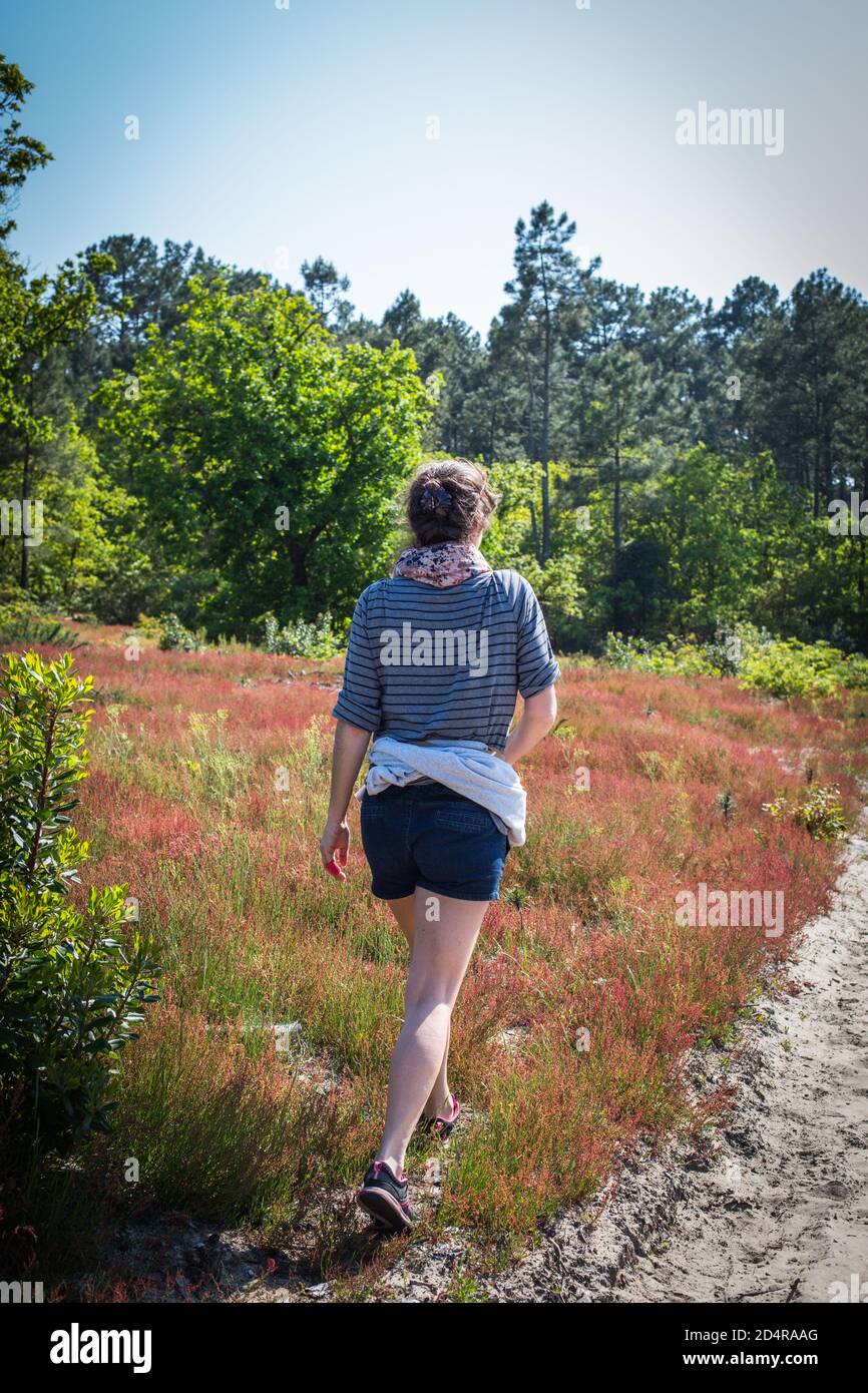 Walk in the forest Stock Photo - Alamy