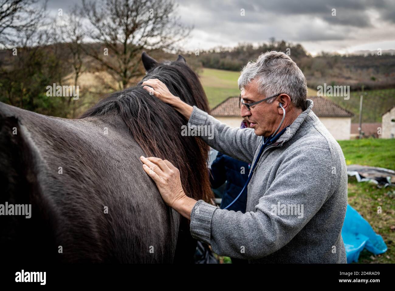 Veterinary france hi-res stock photography and images - Alamy
