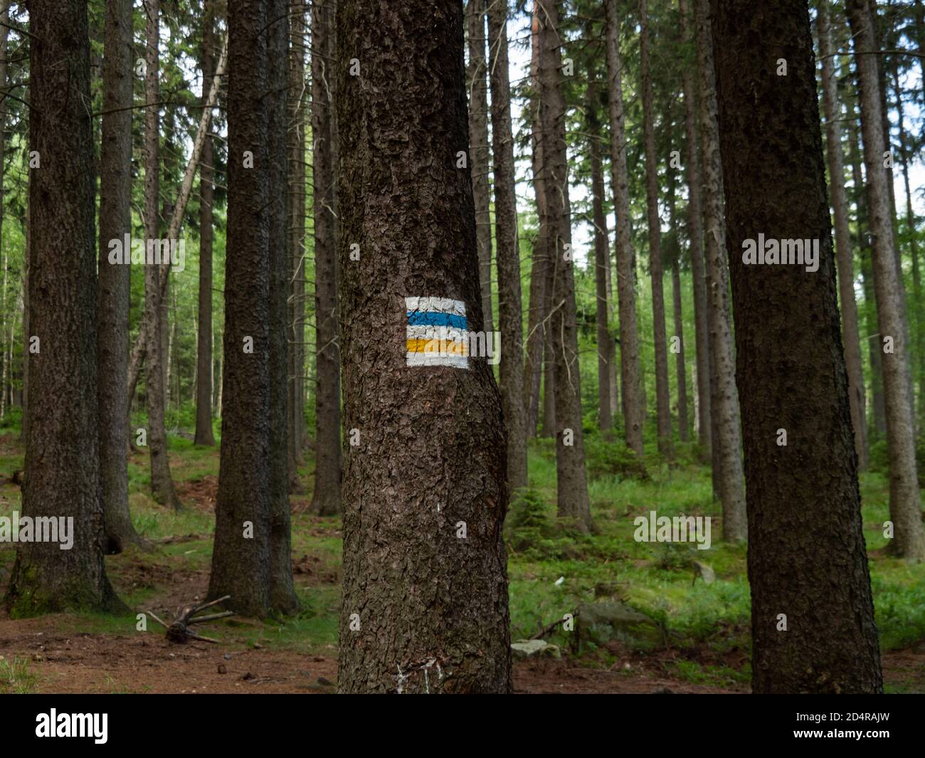 Path hiking pathway marking nature hi-res stock photography and images ...