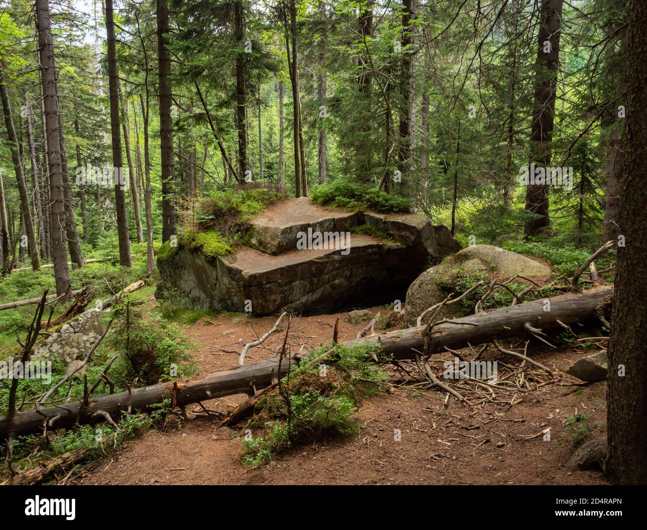 Rocks and forest of Karkonosze National Park Stock Photo - Alamy