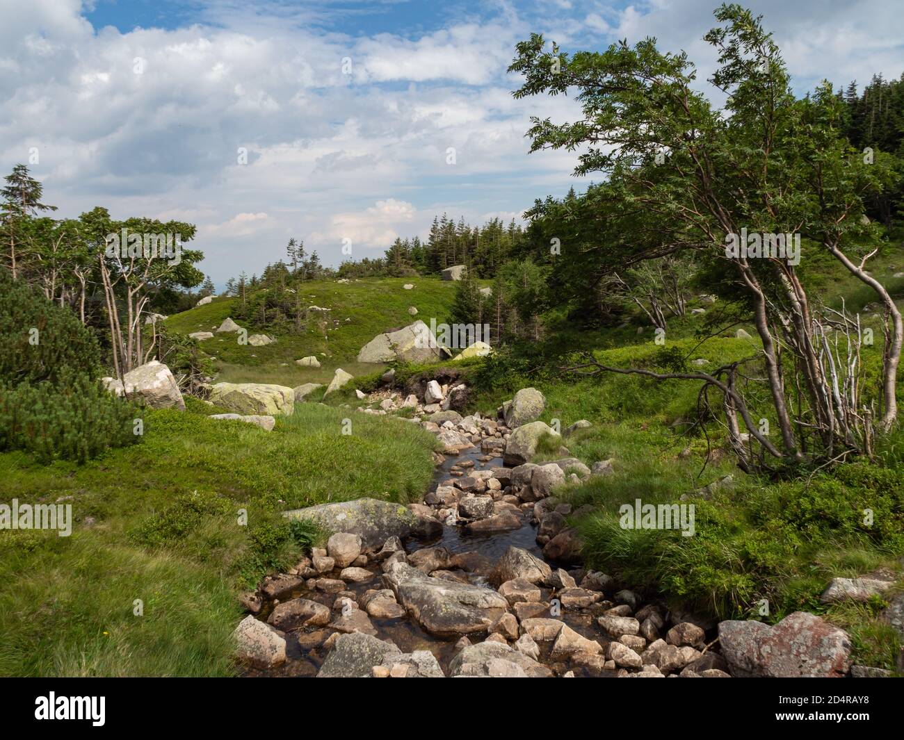 Stream of crystal clean water, Karkonosze National Park Stock Photo - Alamy