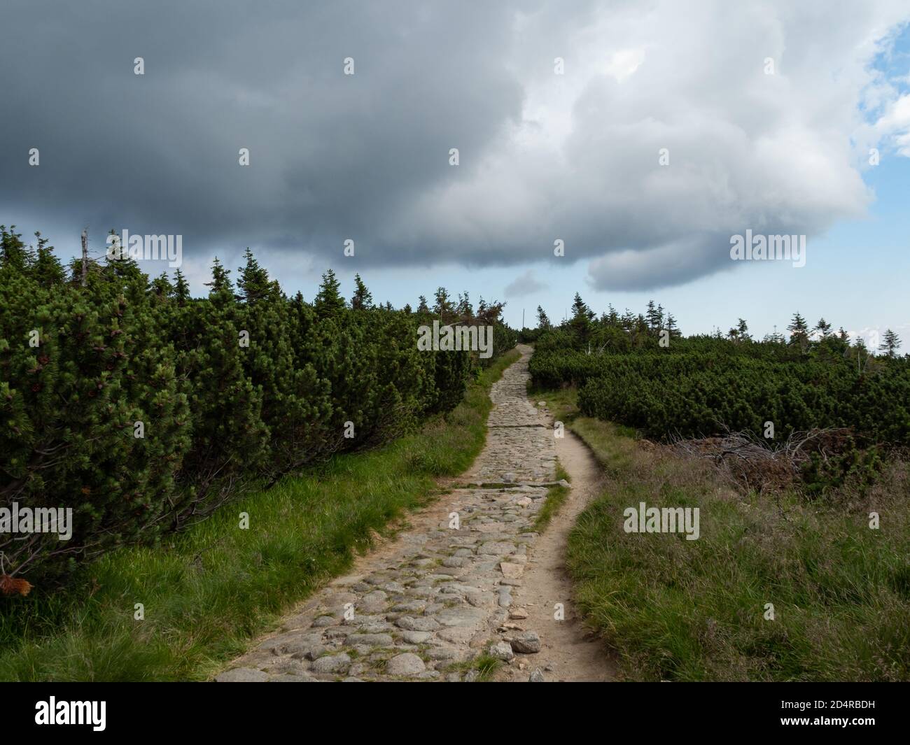 Empty paved mountain trail. Karkonosze National Park Stock Photo - Alamy