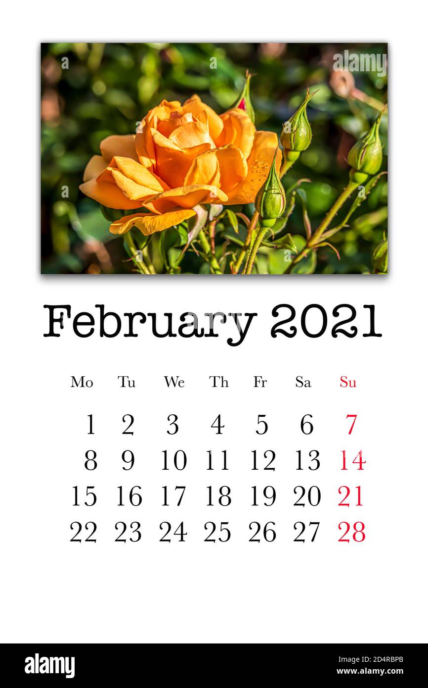 Calendar card for the month of February 2021 Stock Photo - Alamy