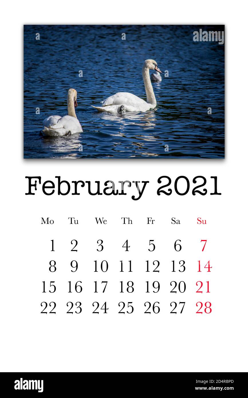 Calendar card for the month of February 2021 Stock Photo - Alamy