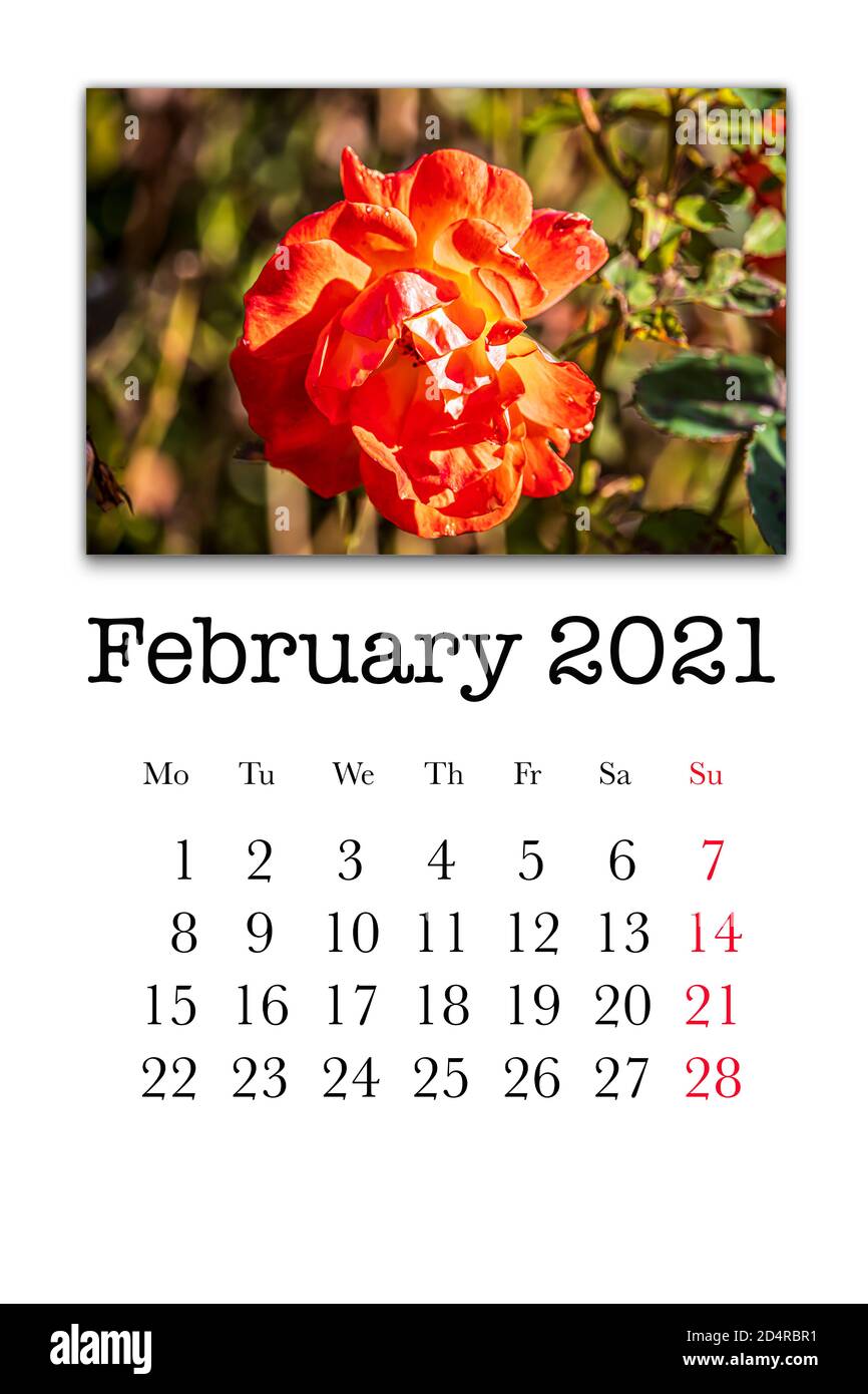 Calendar card for the month of February 2021 Stock Photo - Alamy