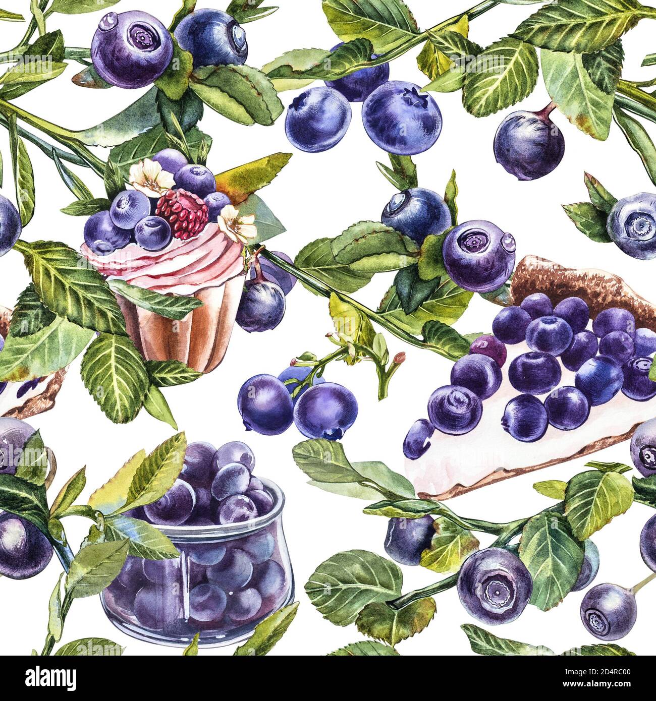 Blueberry. Seamless patterns. Watercolor botanical illustration. Hand ...