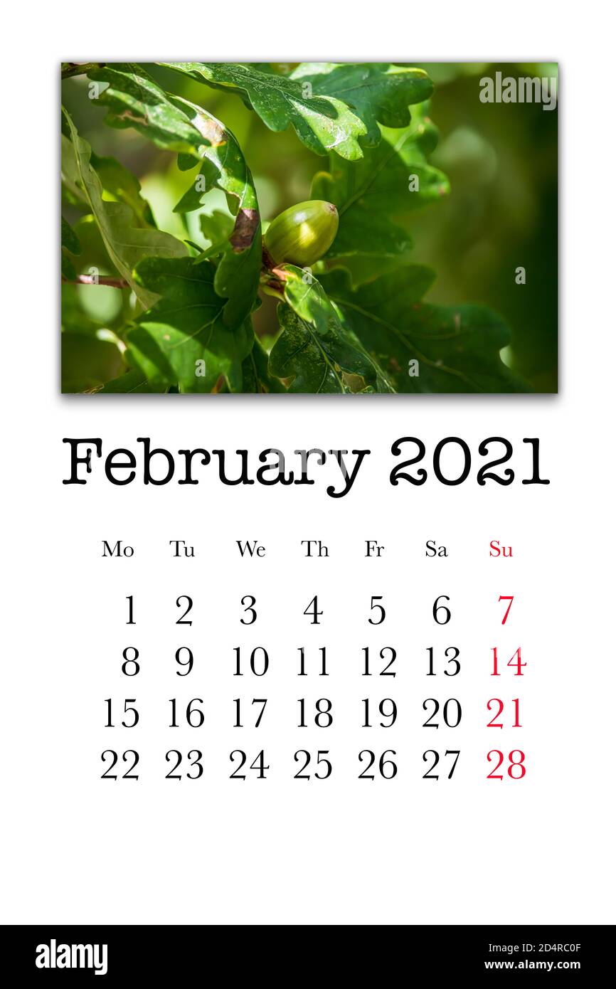 Calendar card for the month of February 2021 Stock Photo - Alamy