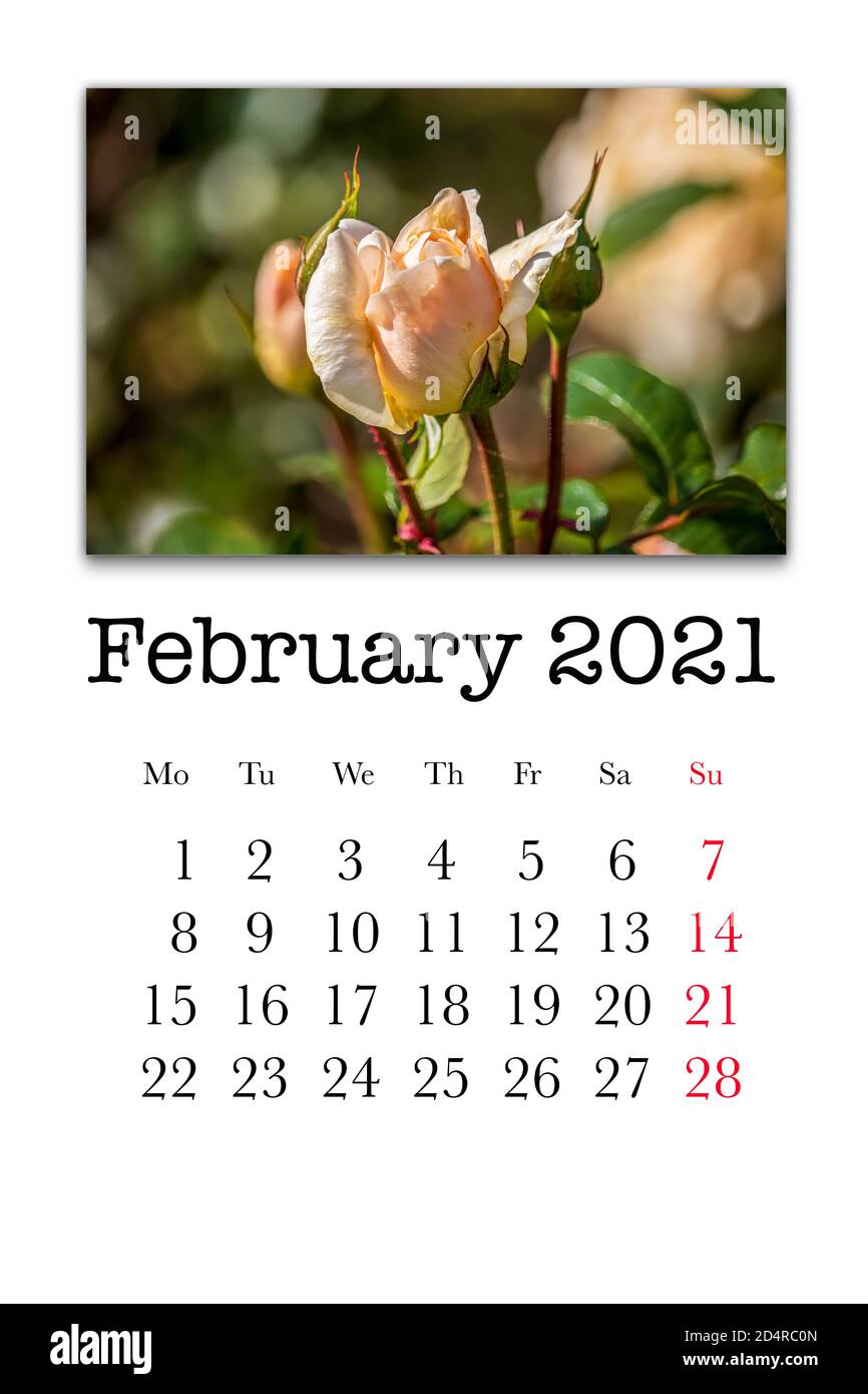 Calendar card for the month of February 2021 Stock Photo - Alamy
