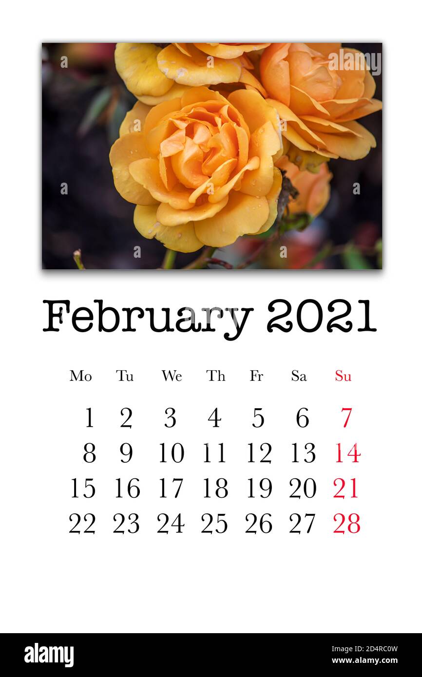 Calendar card for the month of February 2021 Stock Photo - Alamy