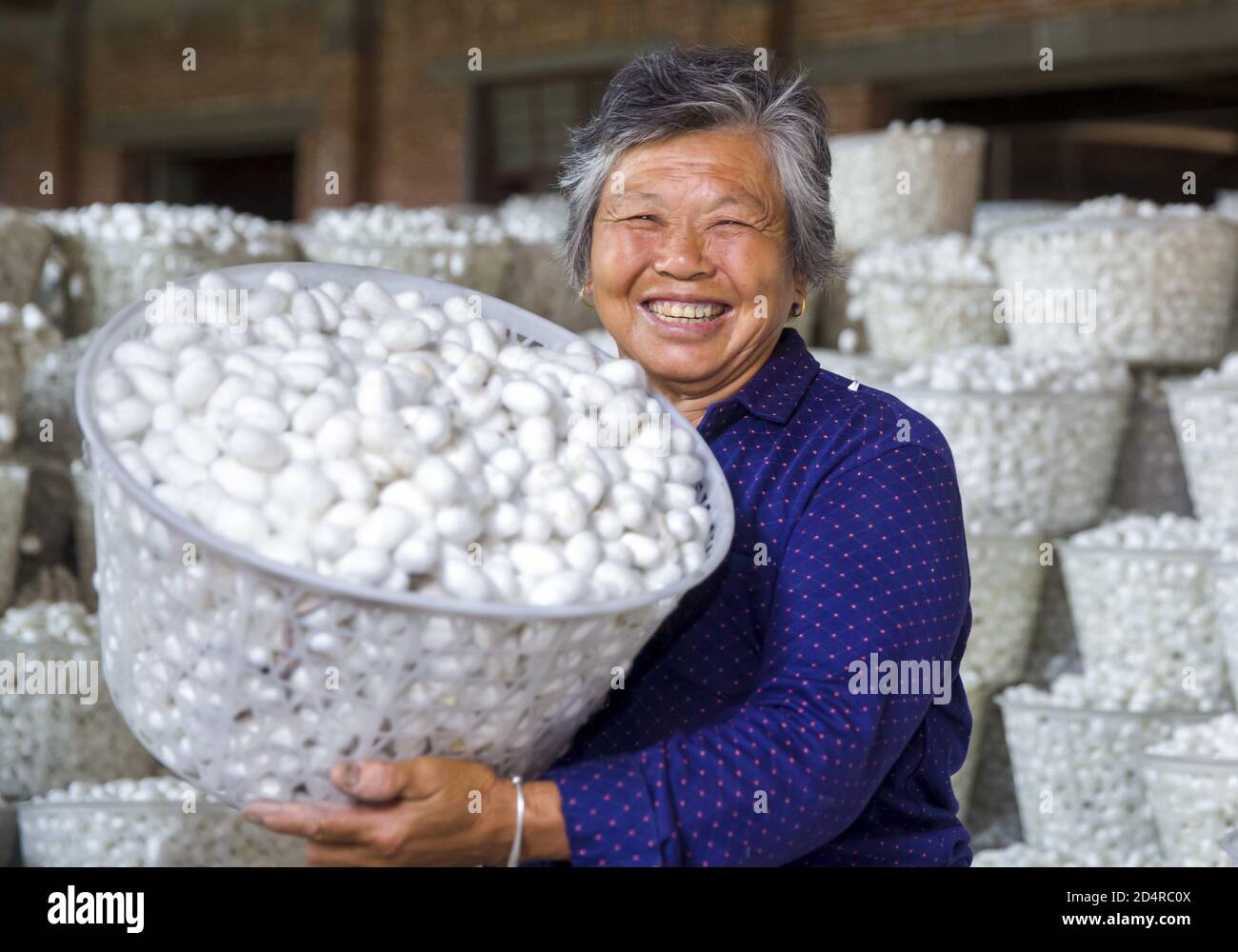 Staff stick hi-res stock photography and images - Alamy