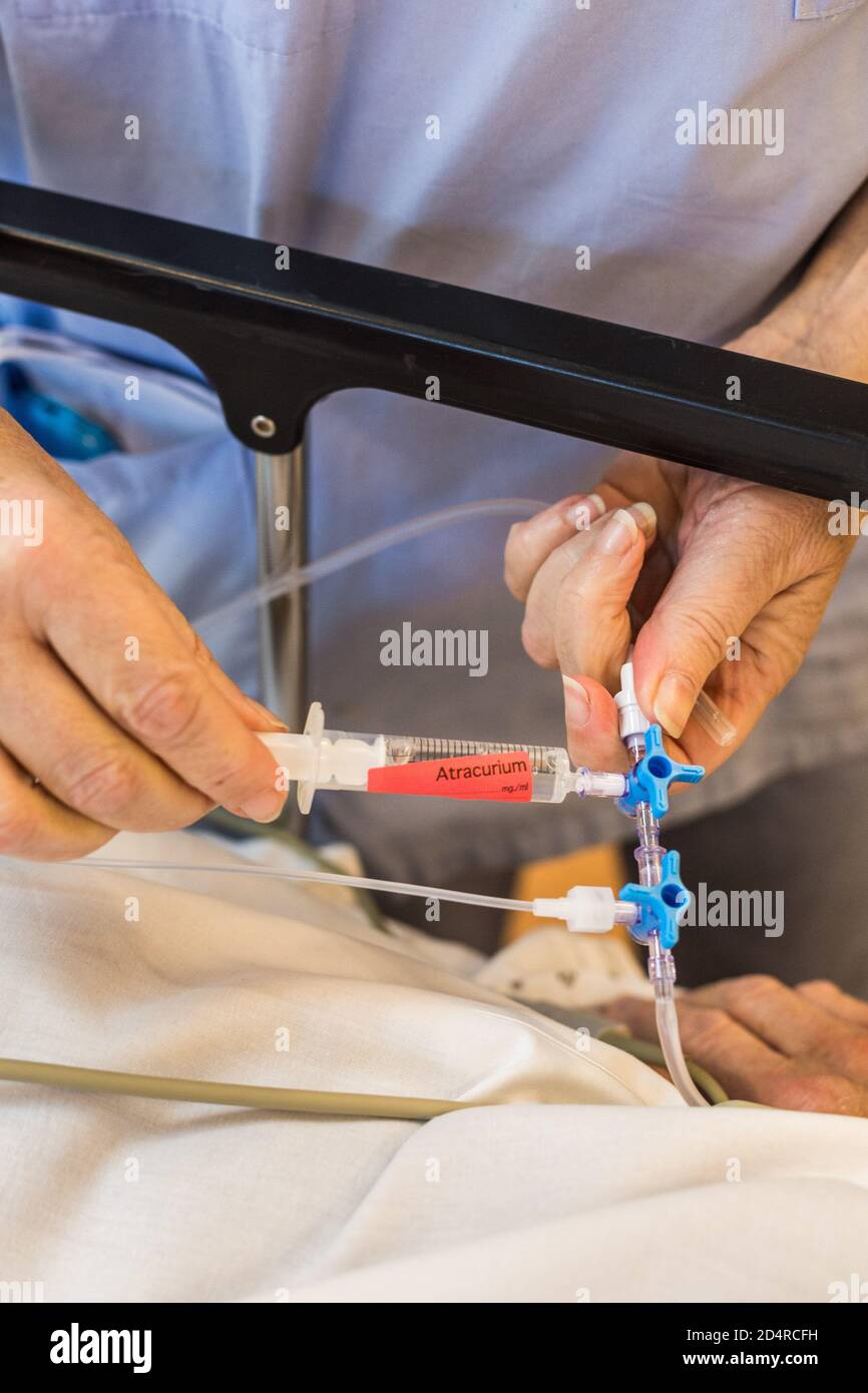 General anesthesia, perfusion of Atracurium (curare Stock Photo - Alamy