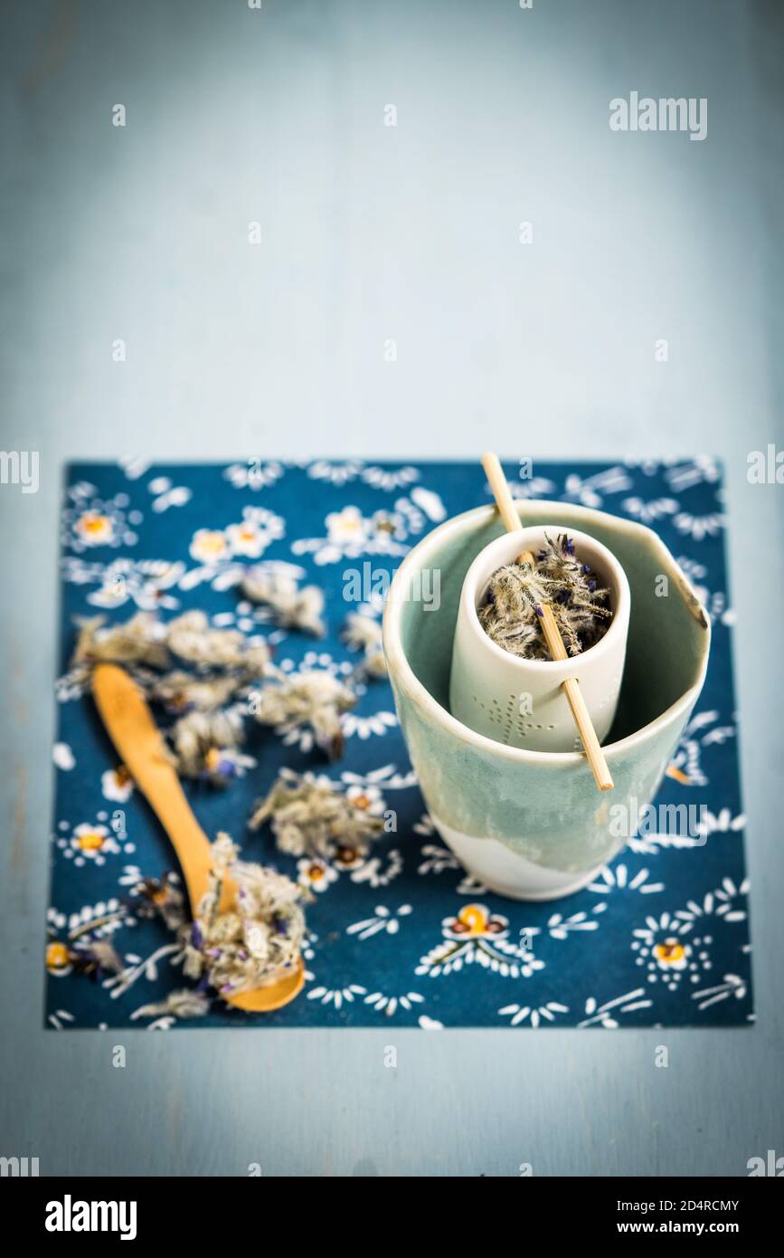 Borage Tea High Resolution Stock Photography and Images - Alamy