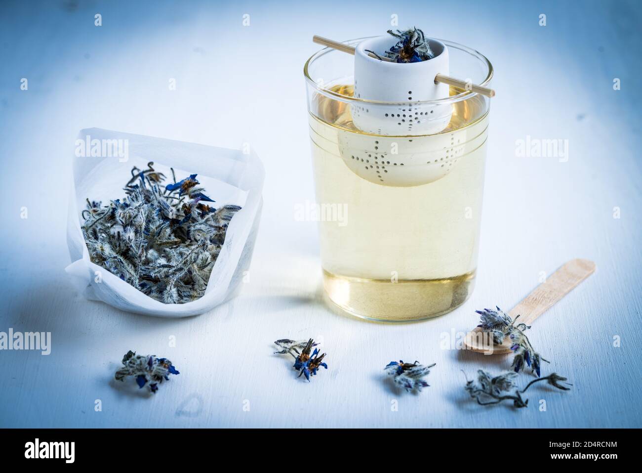 Tea of borage (Borago officinalis Stock Photo - Alamy