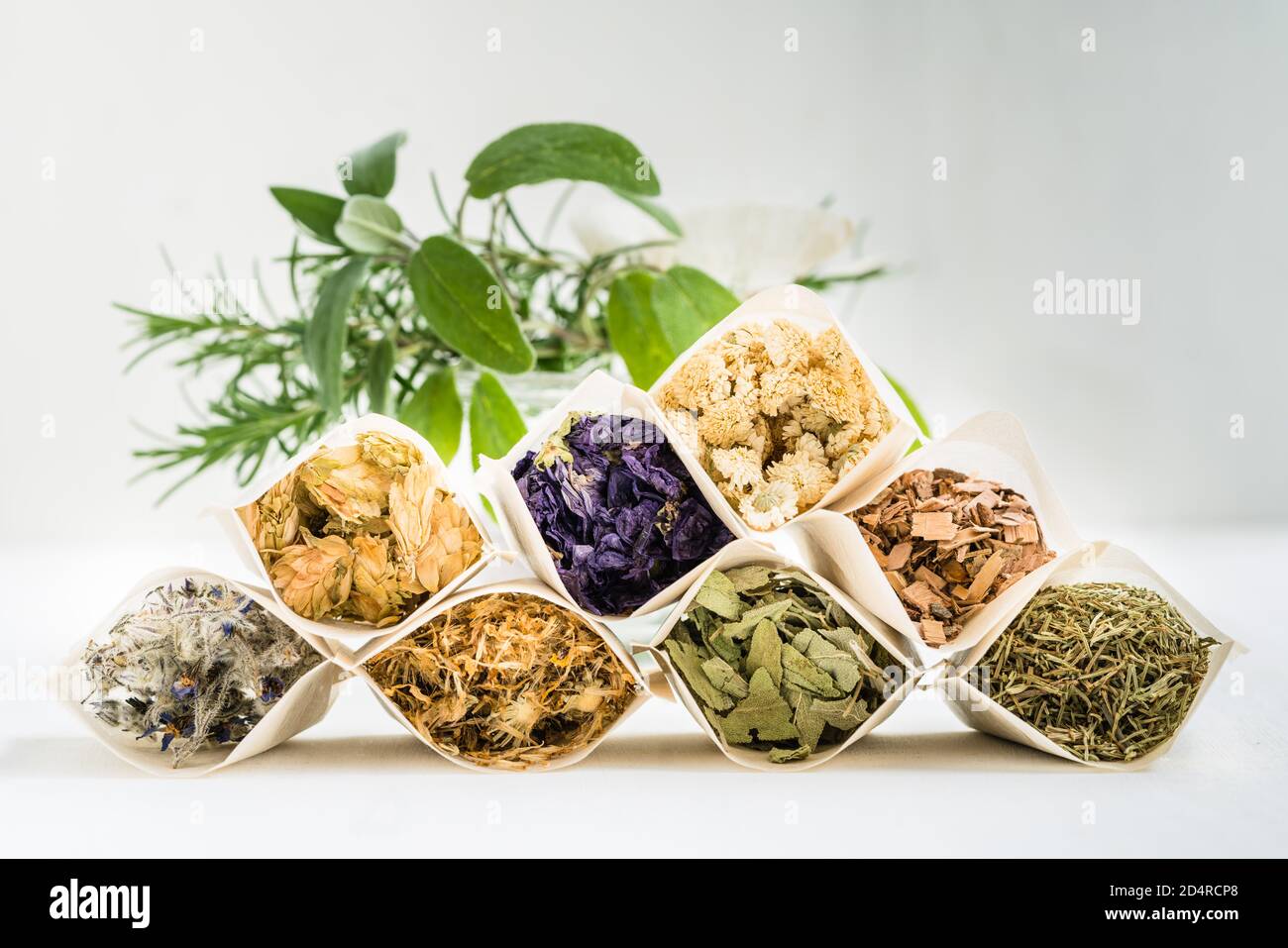 Assortment of dried plants and aromatic herbs: chamomile, arnica ...