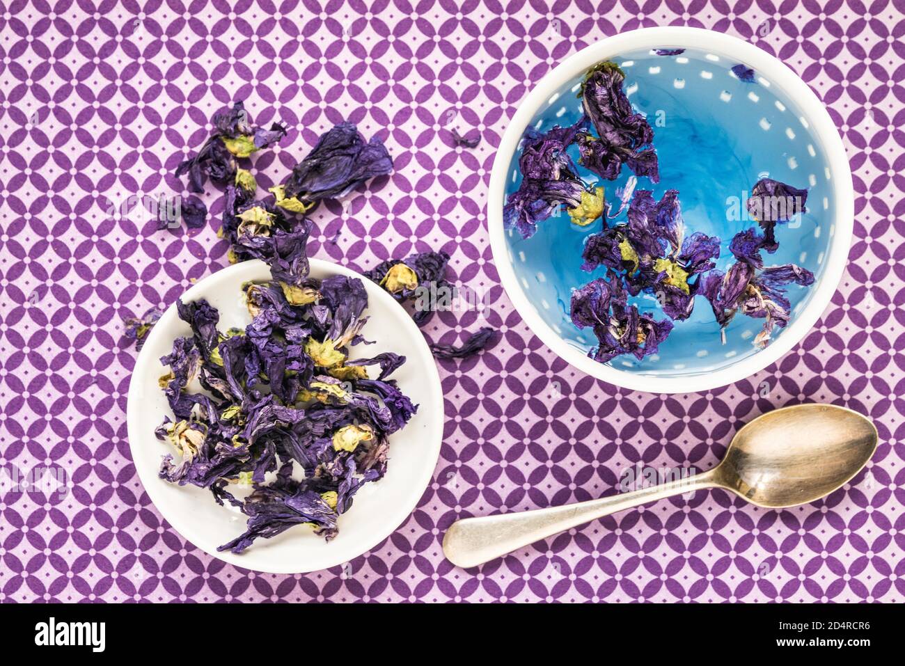 Common mallow plant herbal tea ( Malva sylvestris Stock Photo - Alamy