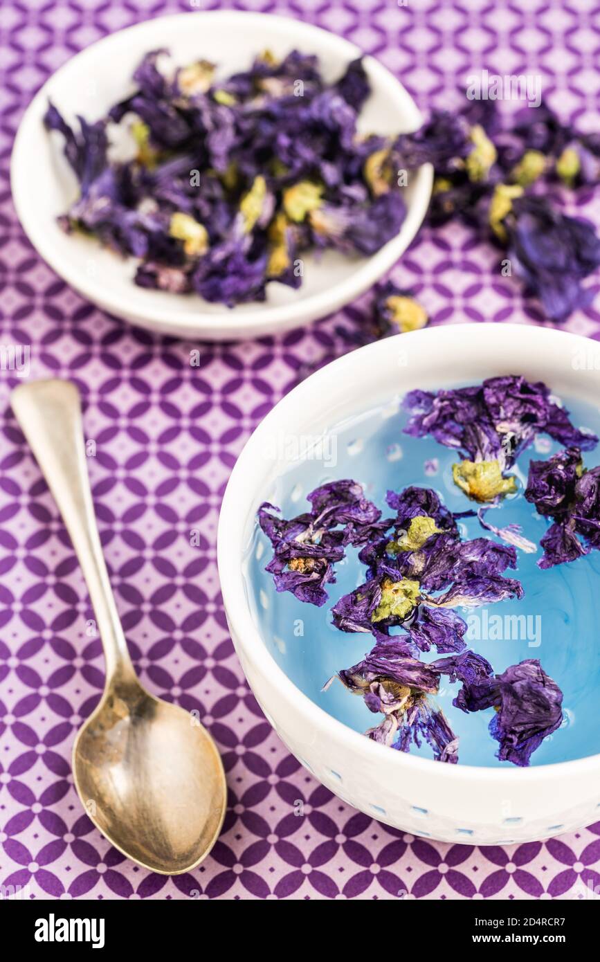 Common mallow plant herbal tea ( Malva sylvestris Stock Photo - Alamy