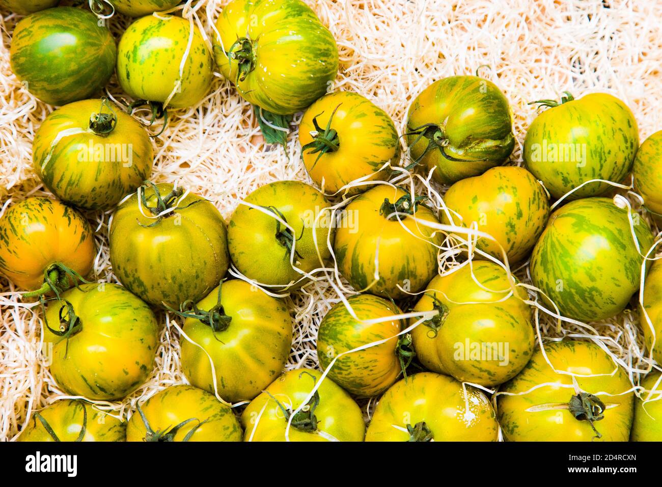 Tomatoes, old varieties Stock Photo - Alamy