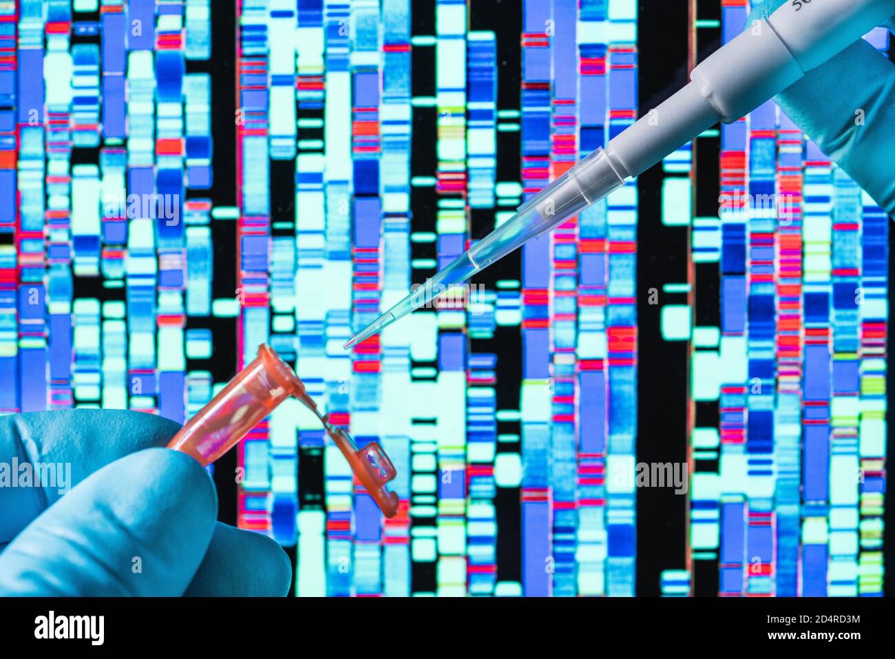 Genetic research, pipetting into a test tube sitting in front of a DNA ...