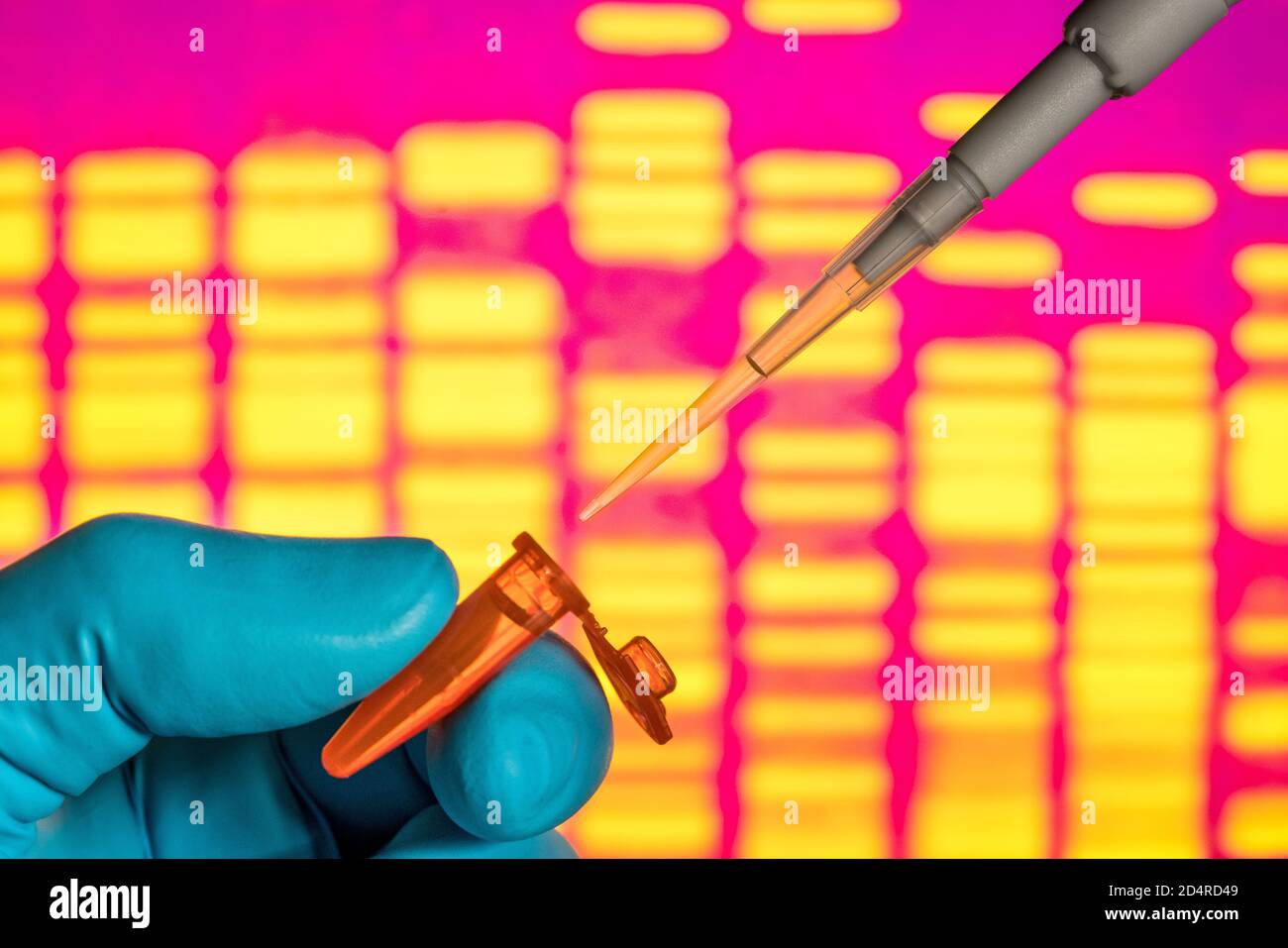 Genetic research, pipetting into a test tube sitting in front of a DNA ...