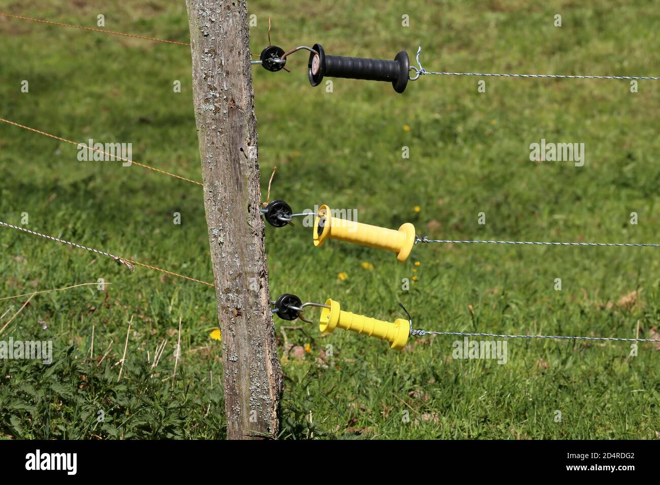 Closeup high angle shot of an electrical fence around a pasture Stock ...