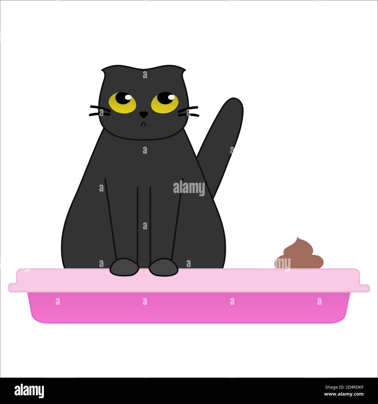 Cat in the litter box - cute black kitten sitting in pink plastic tray ...