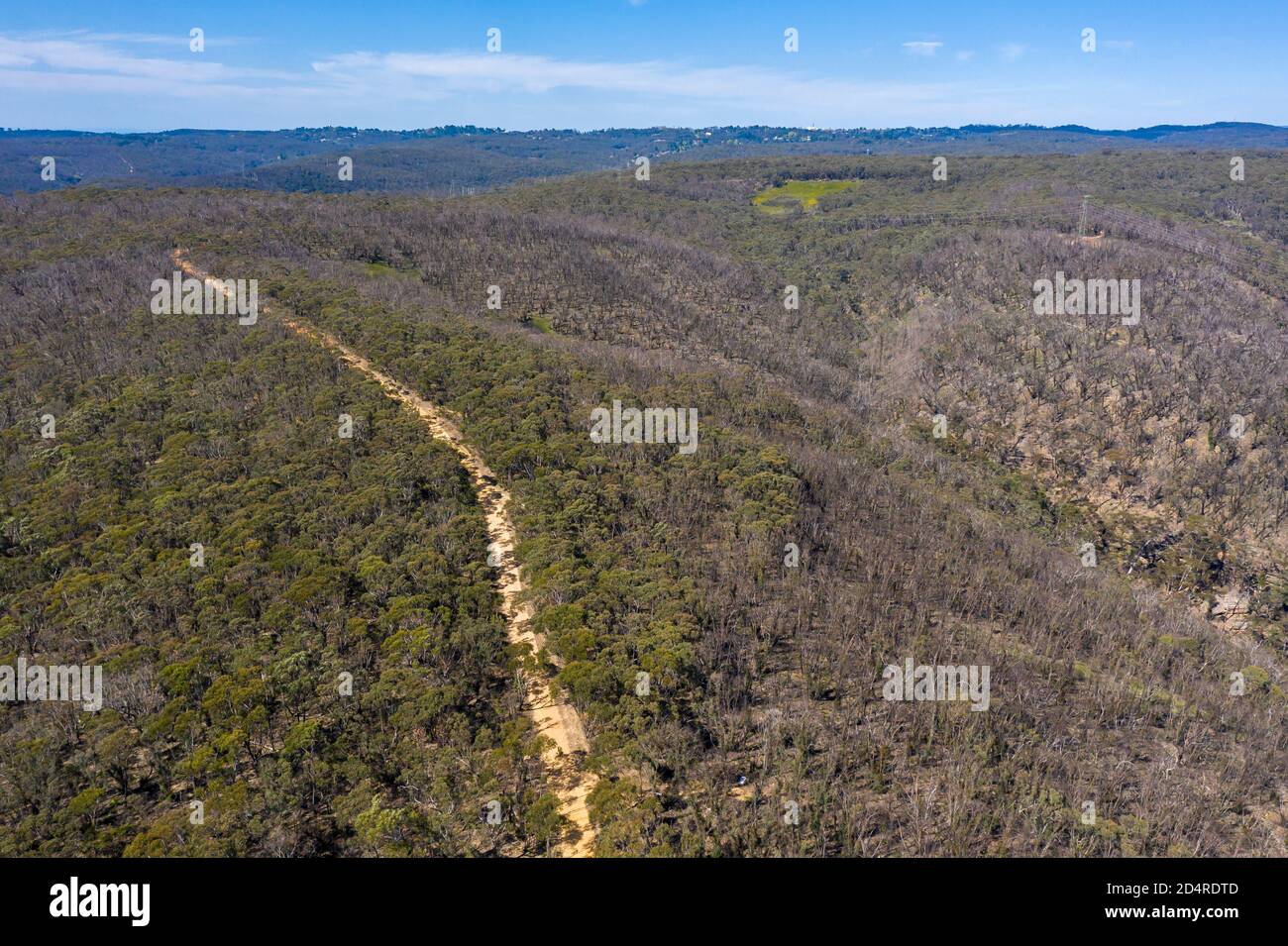 Aerial view of a dirt track running through forest affected by ...