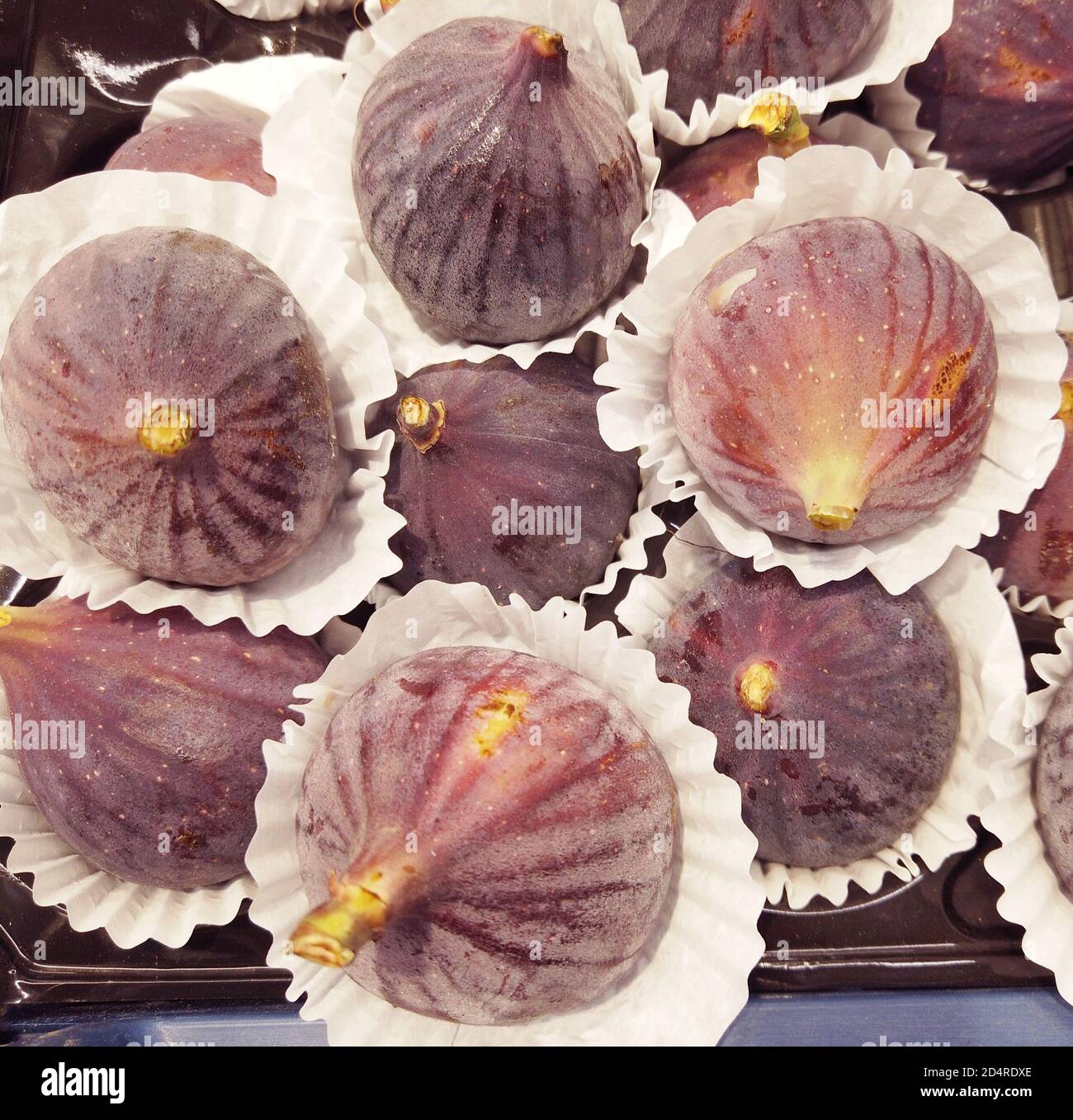 Fig circle hi-res stock photography and images - Alamy