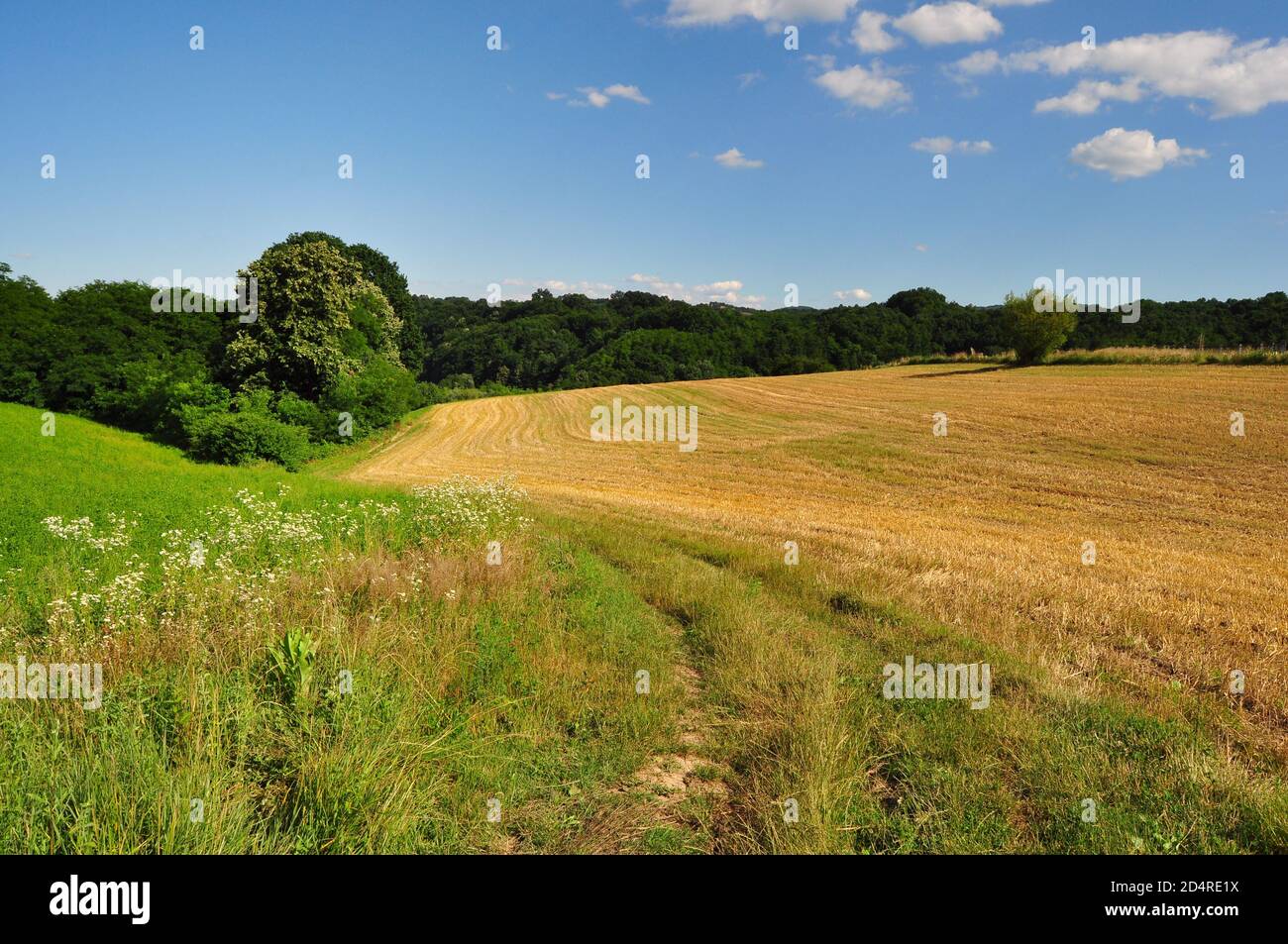 Empty plot of land hi-res stock photography and images - Alamy