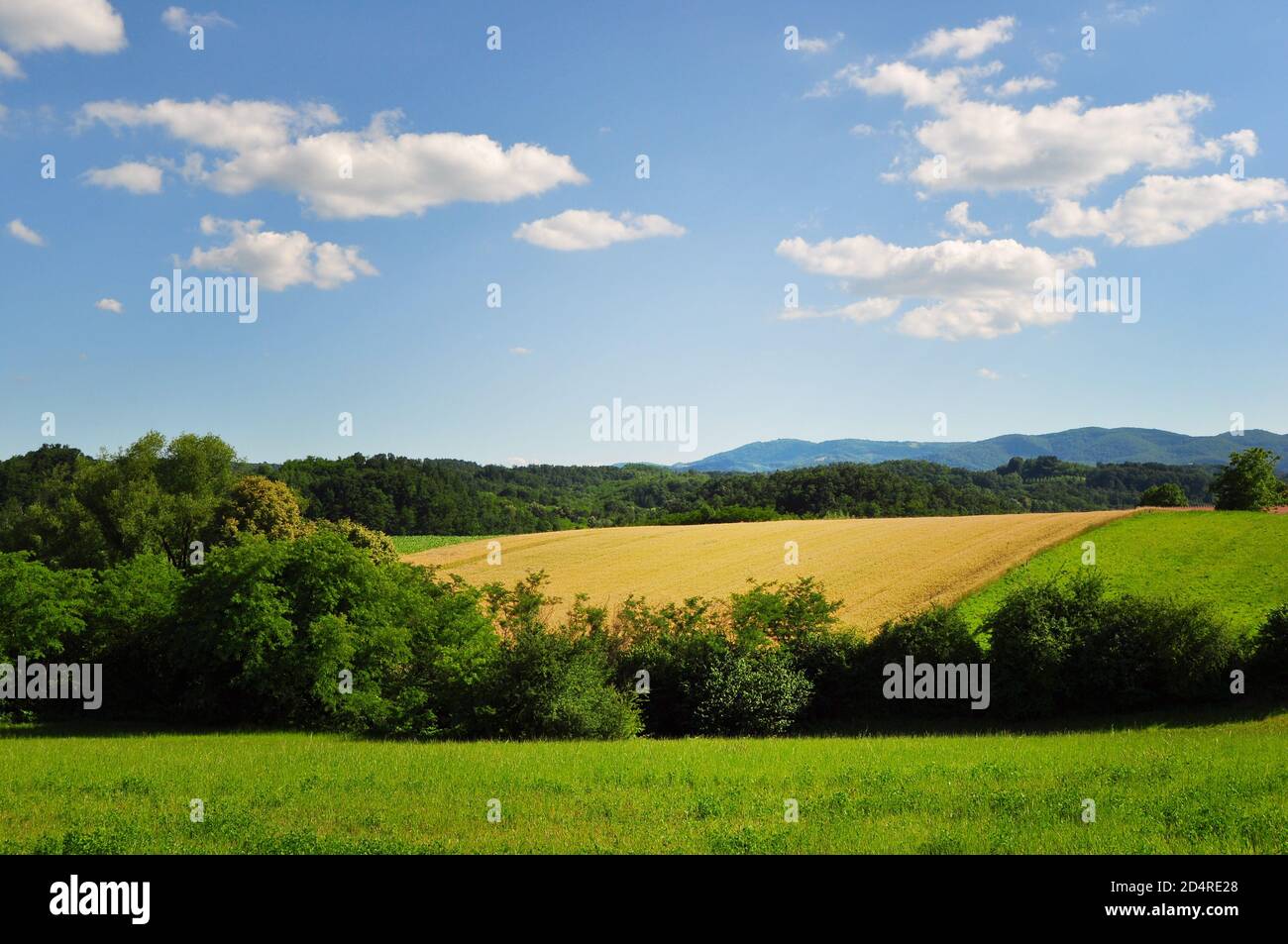 Empty plot land hi-res stock photography and images - Alamy