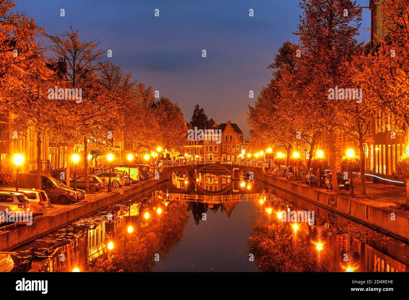 Night fall leaves hi-res stock photography and images - Alamy