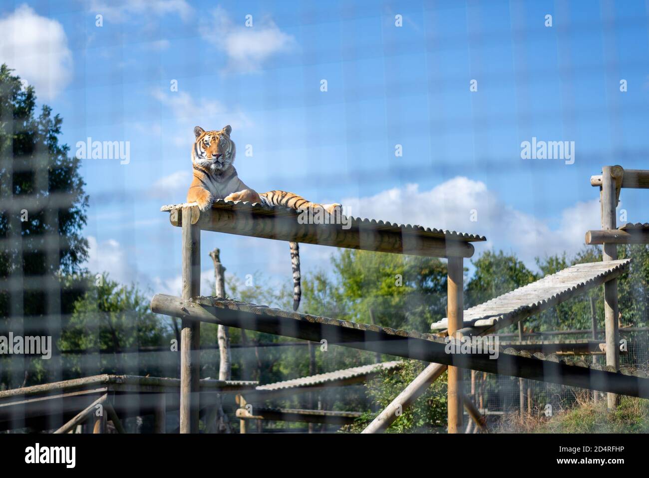 Large straight hi-res stock photography and images - Alamy