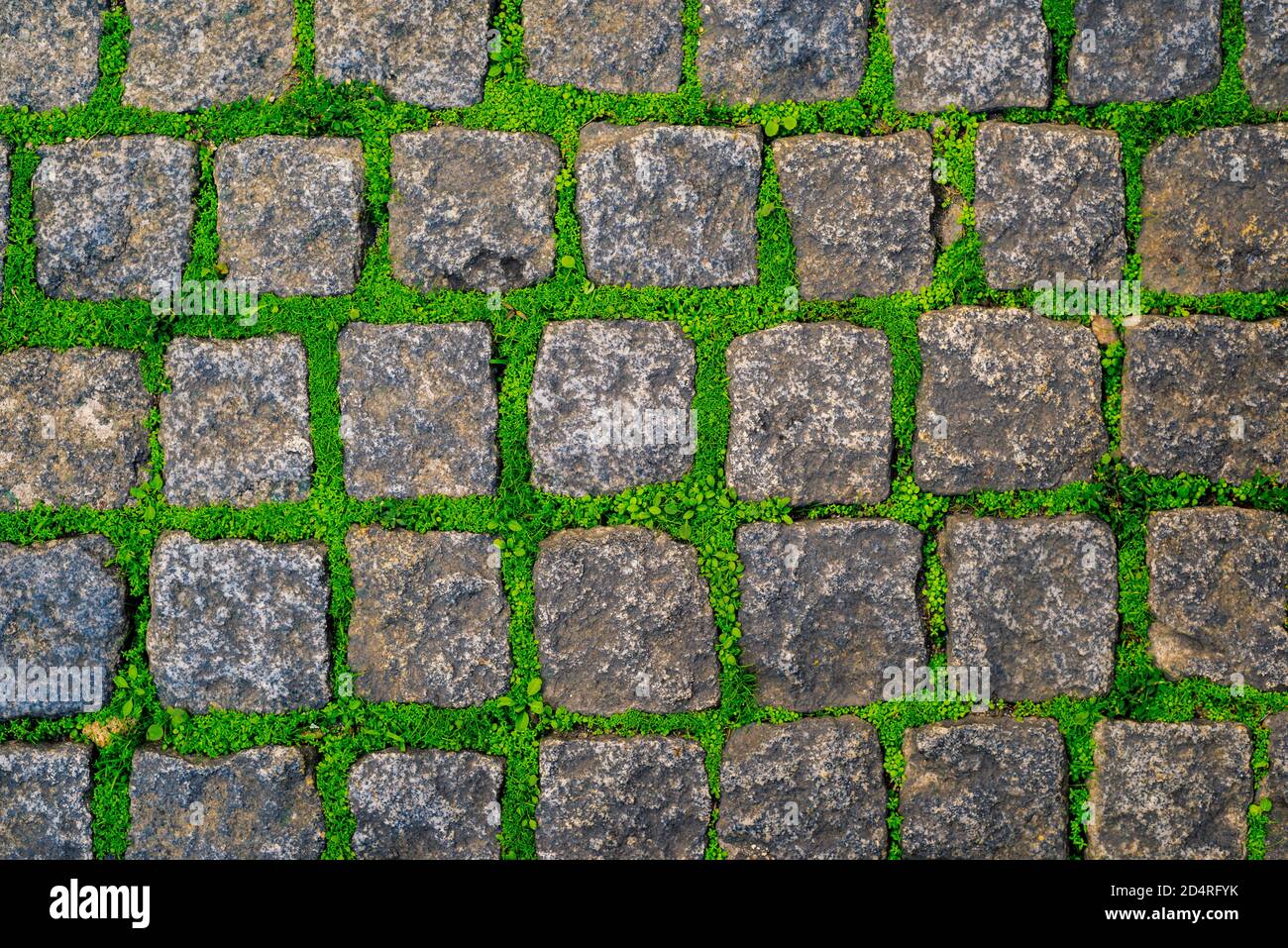 Footpath Texture With Grass