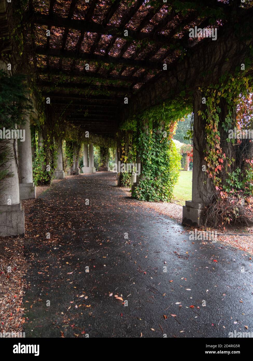Amazing outdoor pathway with a roof fully covered with climbing plants ...