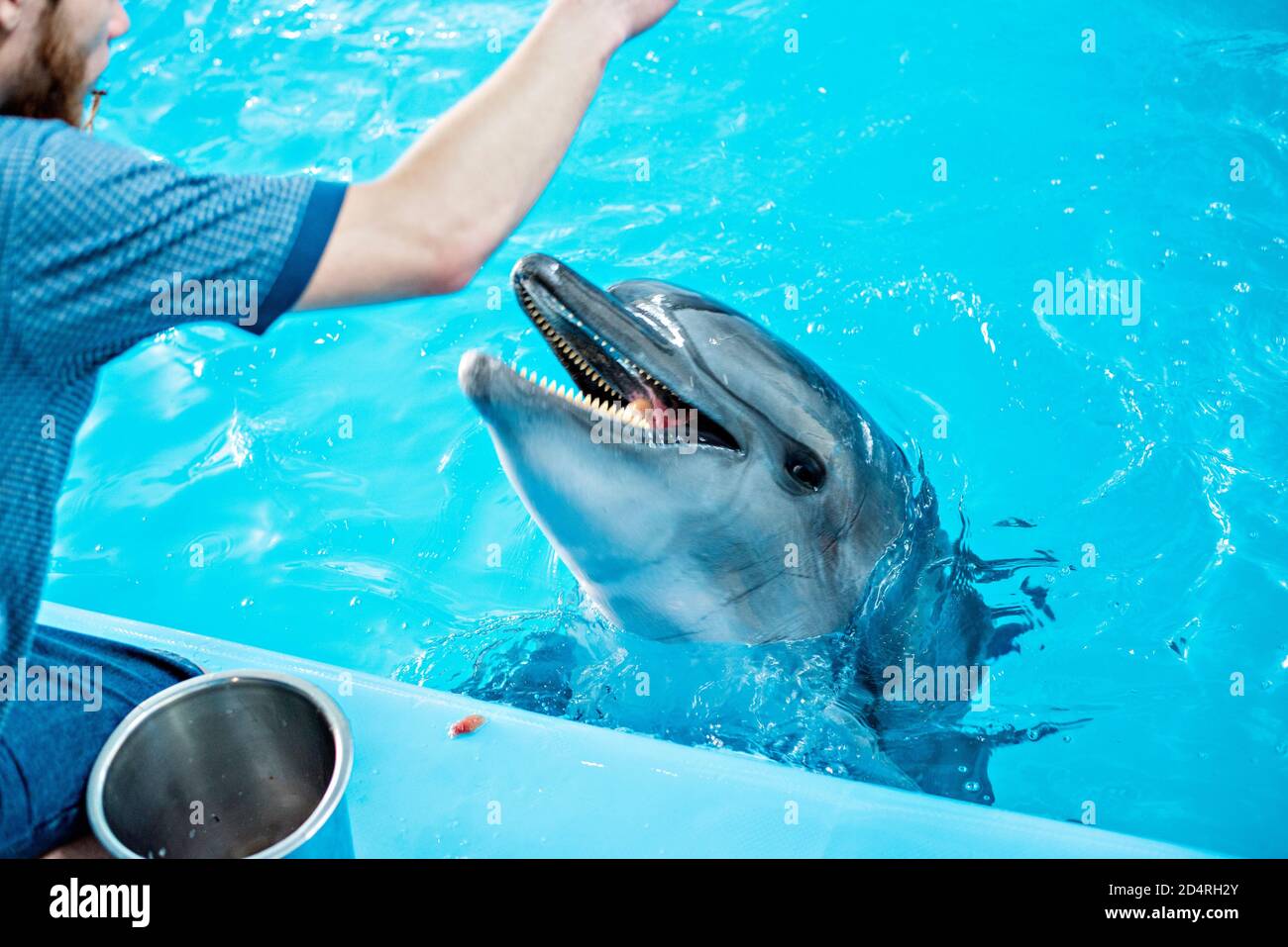 Care, rehabilitation, bathing, diving, games, fun and entertainment ...