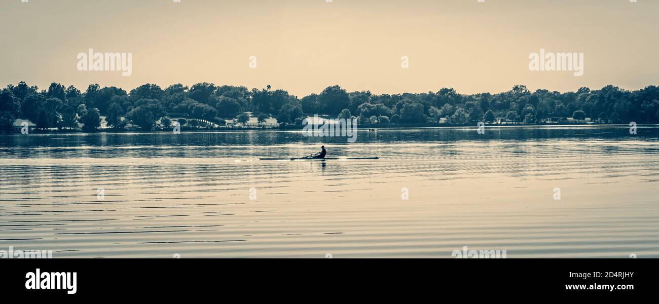 Black and White Sculler Stock Photo - Alamy