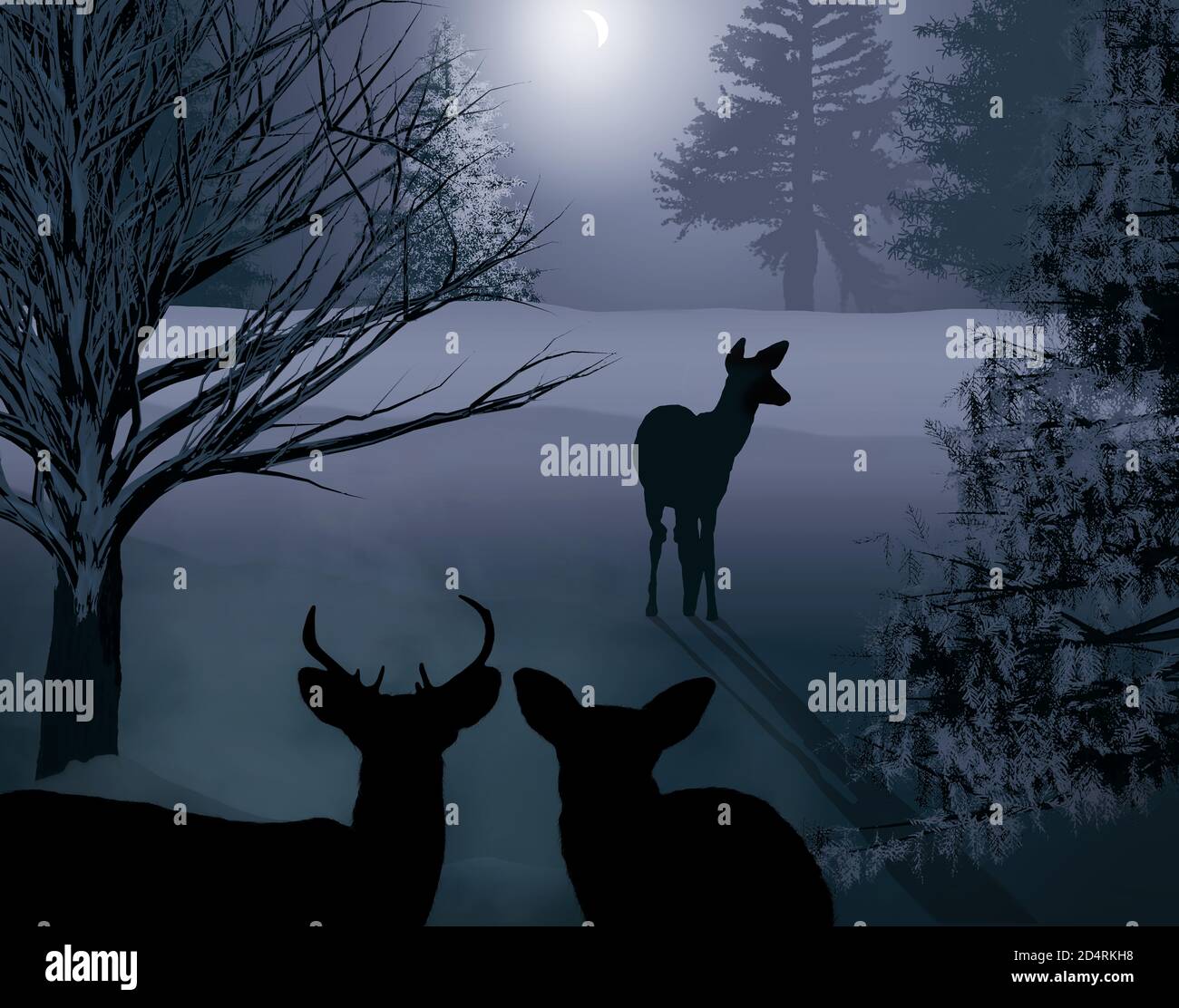 Wild deer are seen at night in the moonlight on snow in a nature winter ...