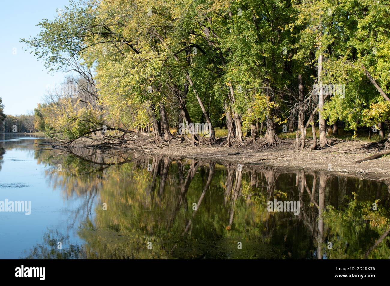 Trees Reflecting on River Stock Photo - Alamy
